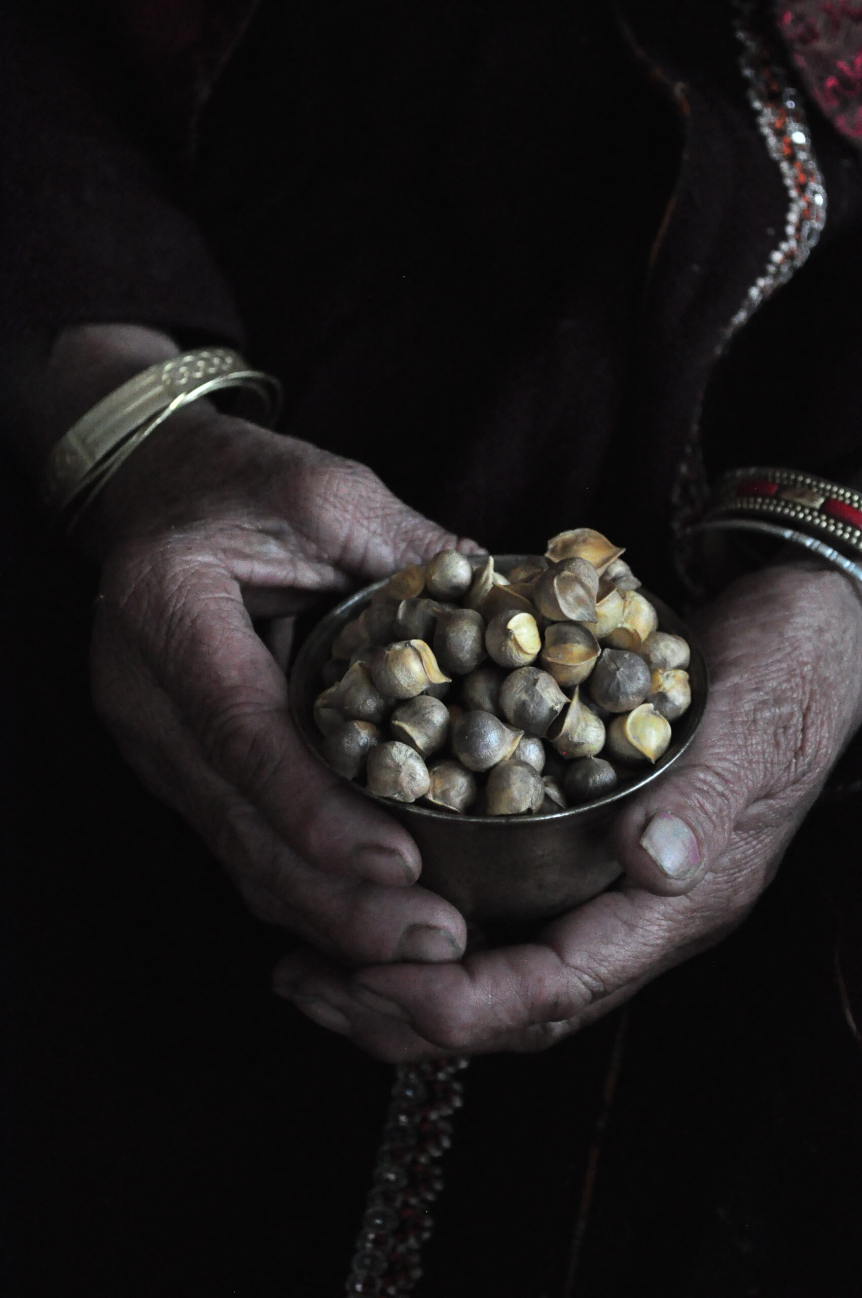 Himalayan Pearl/Snow Garlic - GHEPAN FOODS